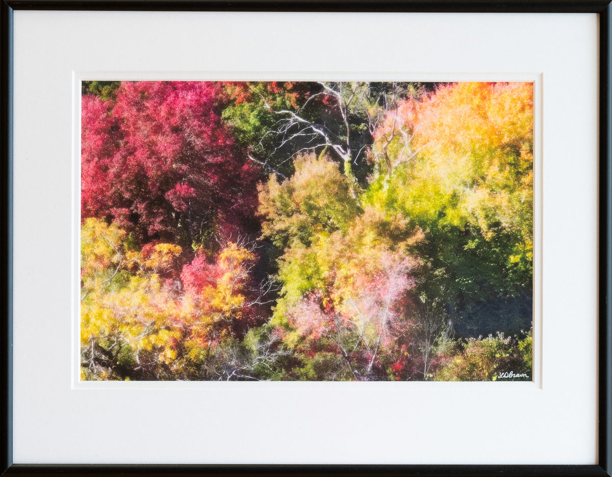 Autumn Palette – Arts Wayland