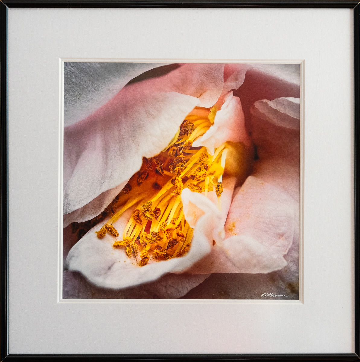 Life from Within – Arts Wayland