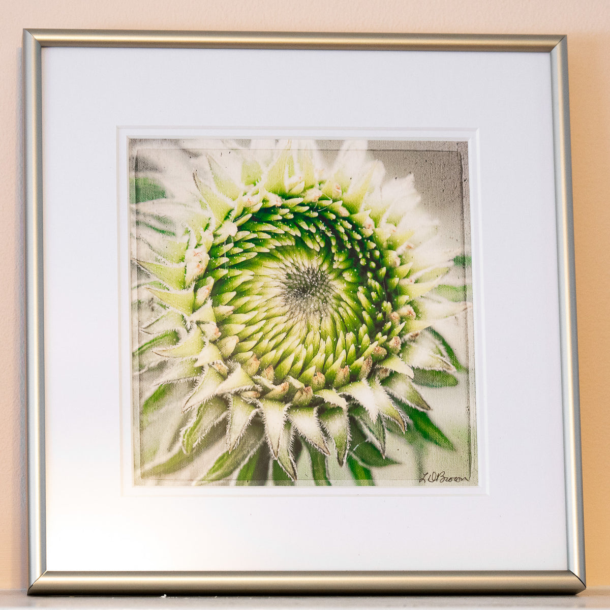 Arriving Soon – Arts Wayland