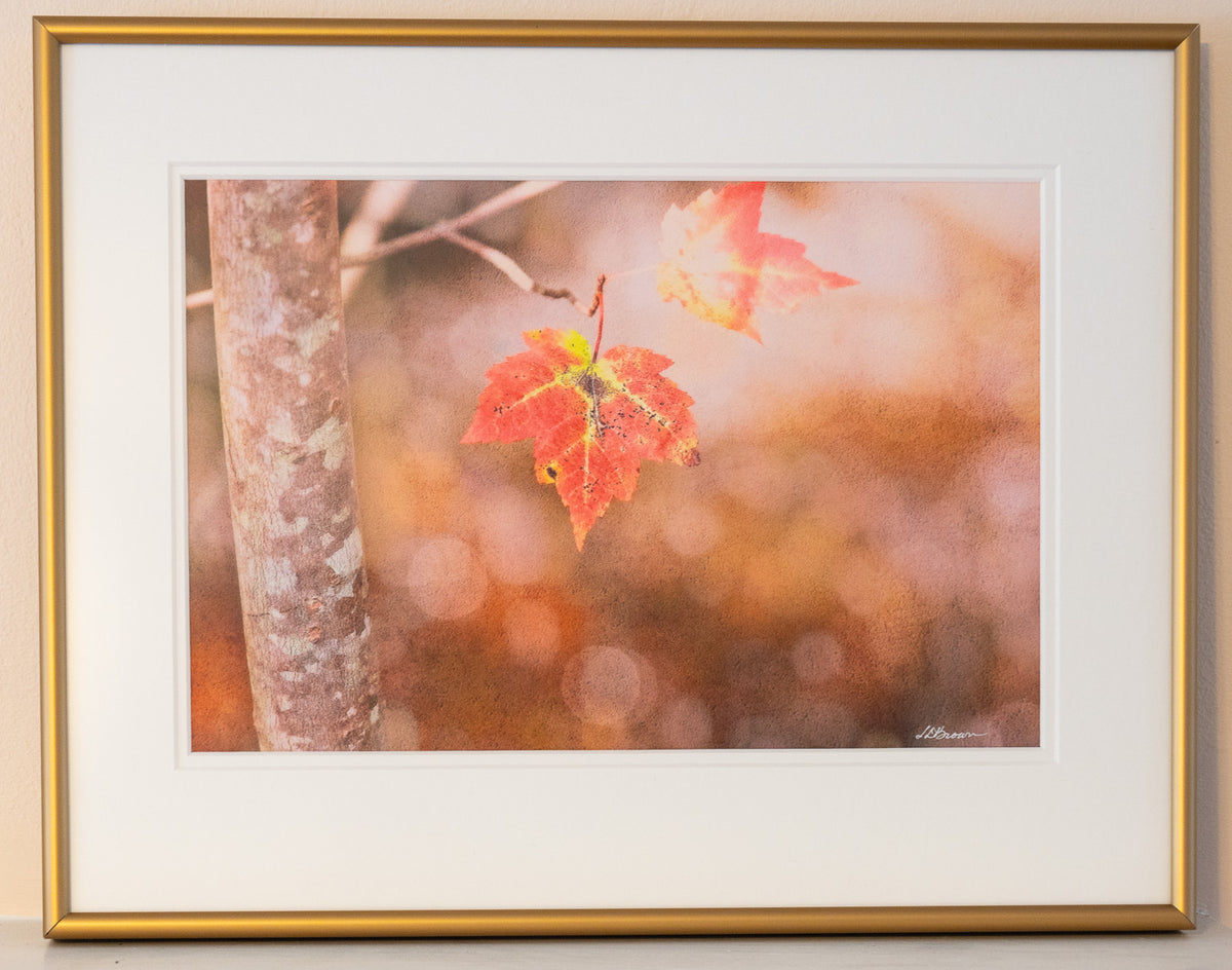 Autumn Ends – Arts Wayland