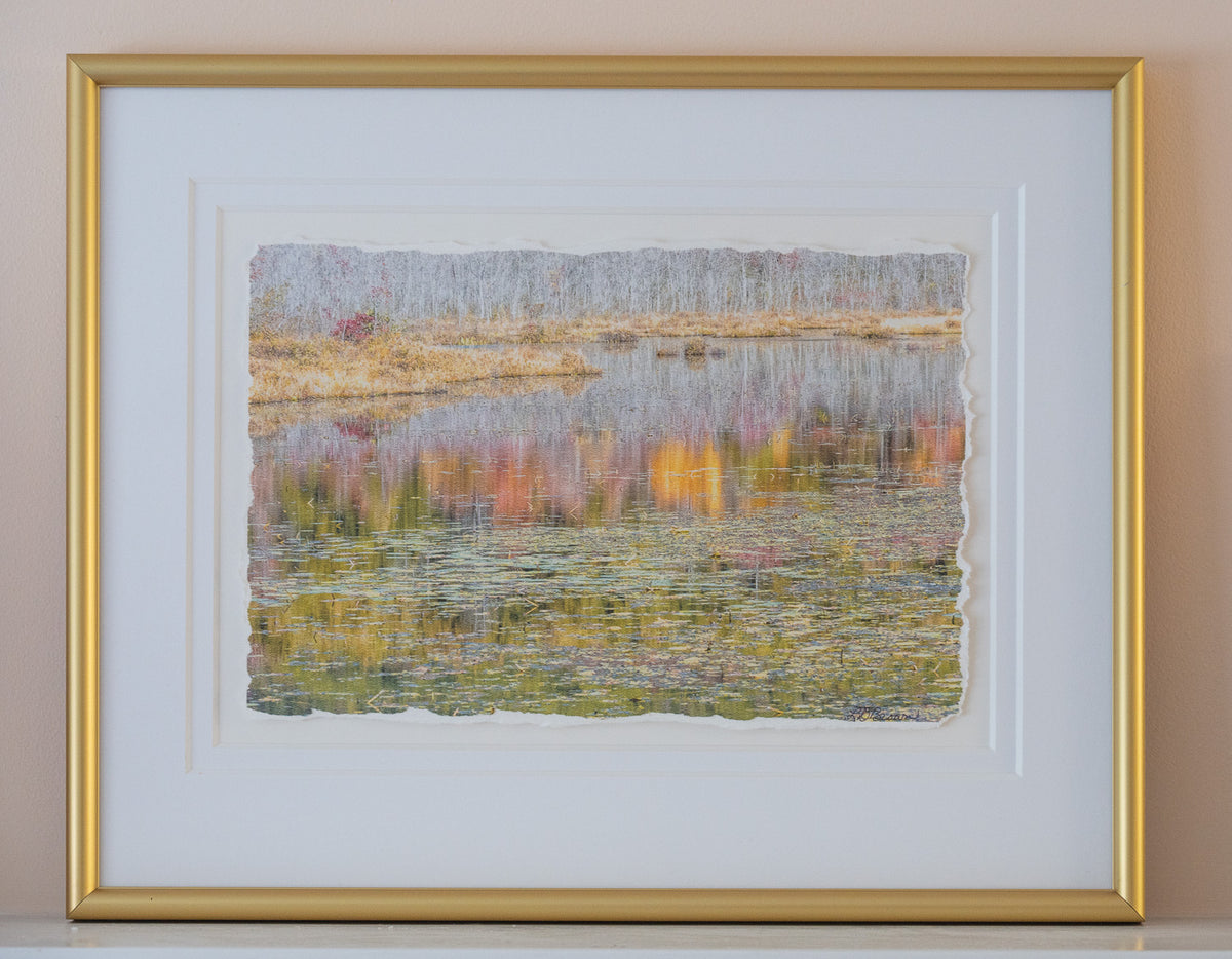 Fall Impression – Arts Wayland